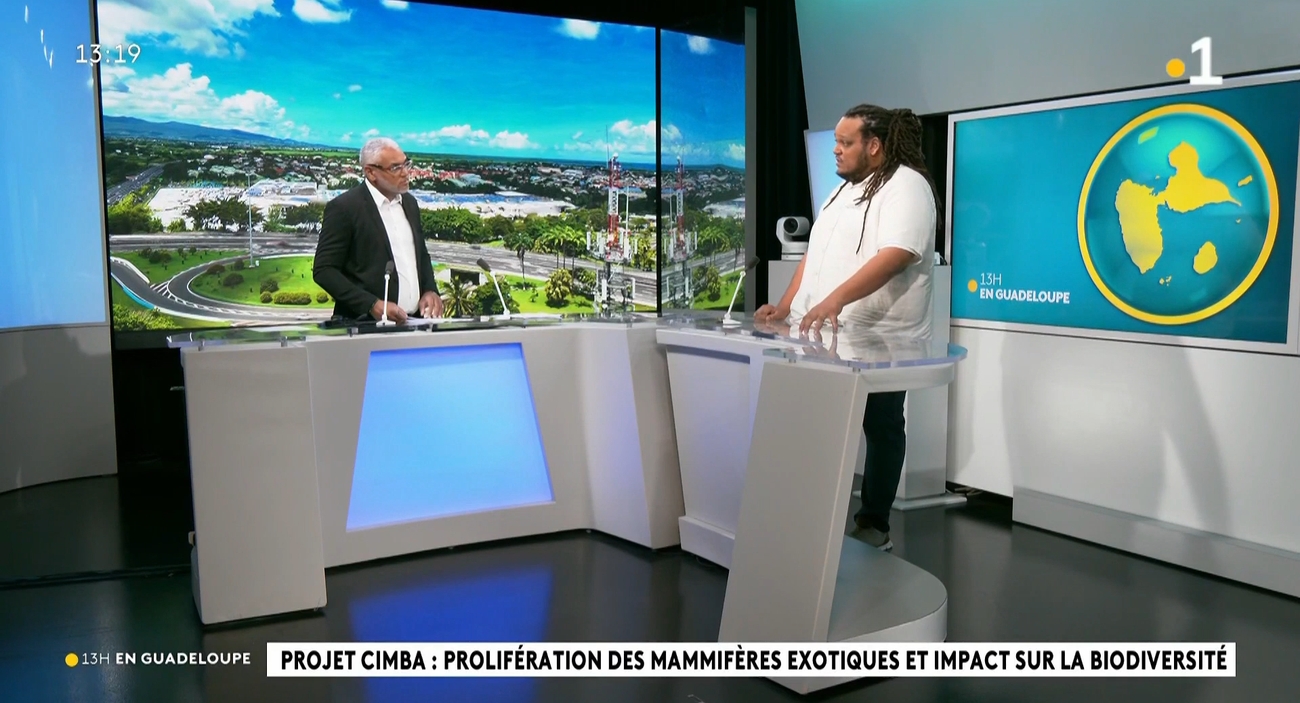 Projet CIMBA : un évènement de lancement réussi en Guadeloupe – CIMBA